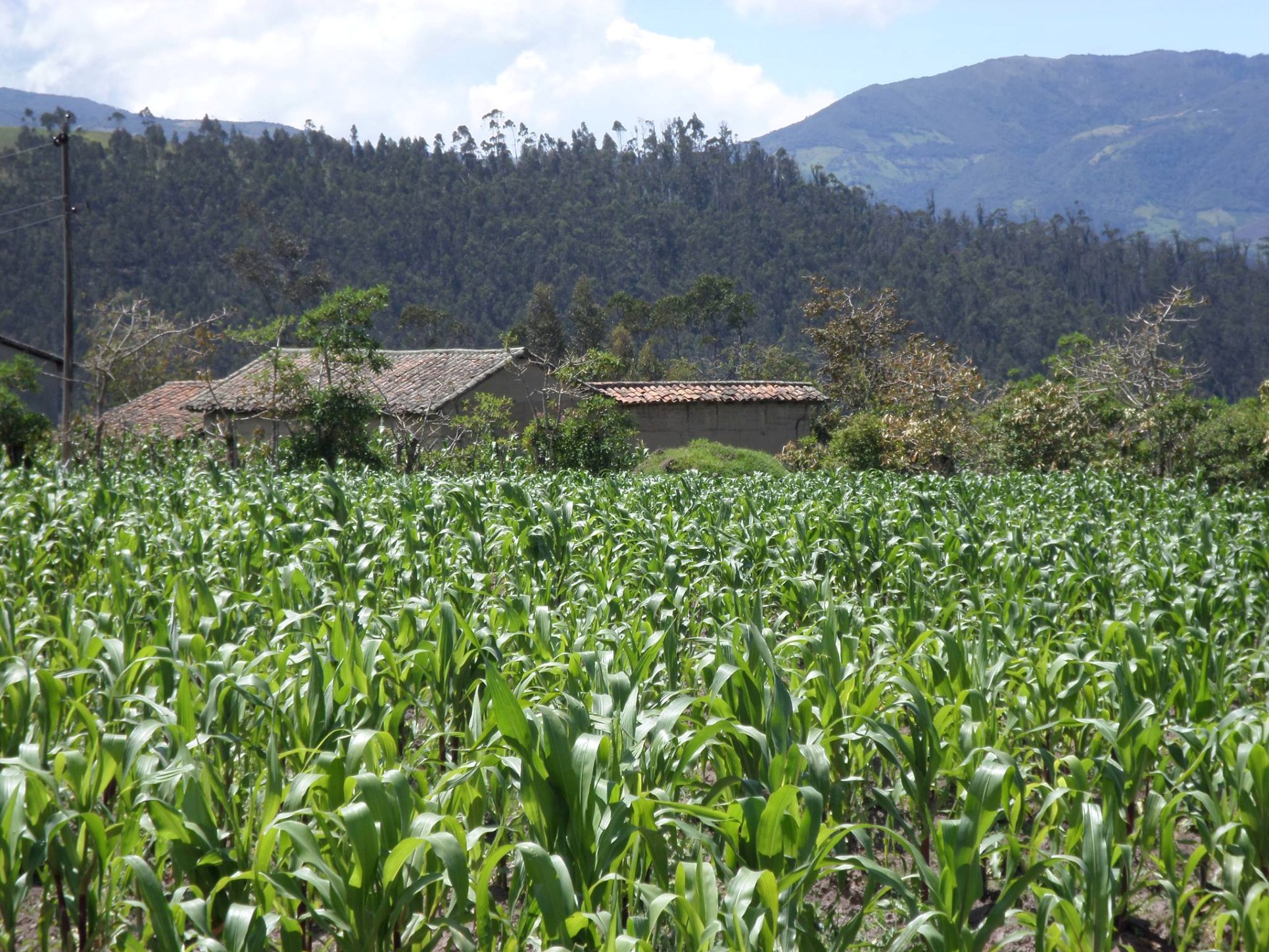 Index [www.runajambi.org]